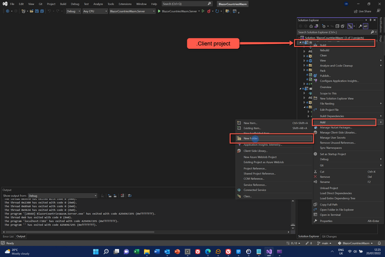 Display a list of countries - Blazor Web Assembly